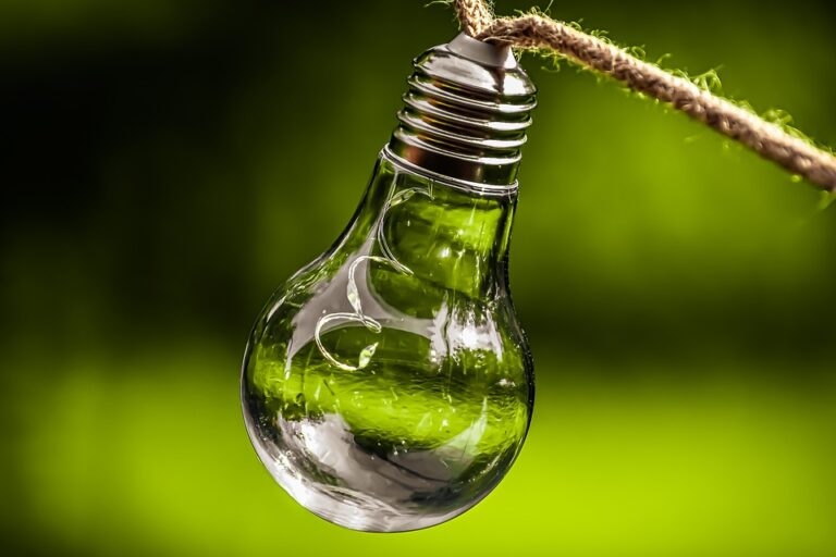 Fueling the Future: How Bioenergy is Transforming Sustainable Power ...